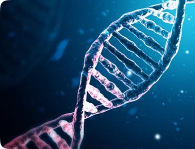 Biotale | Accelerating Enterprise Growth with Generative AI ...